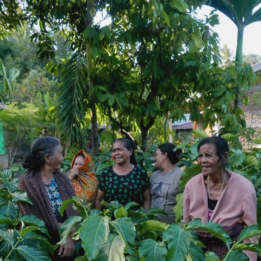 Year in Review – Threads of Life